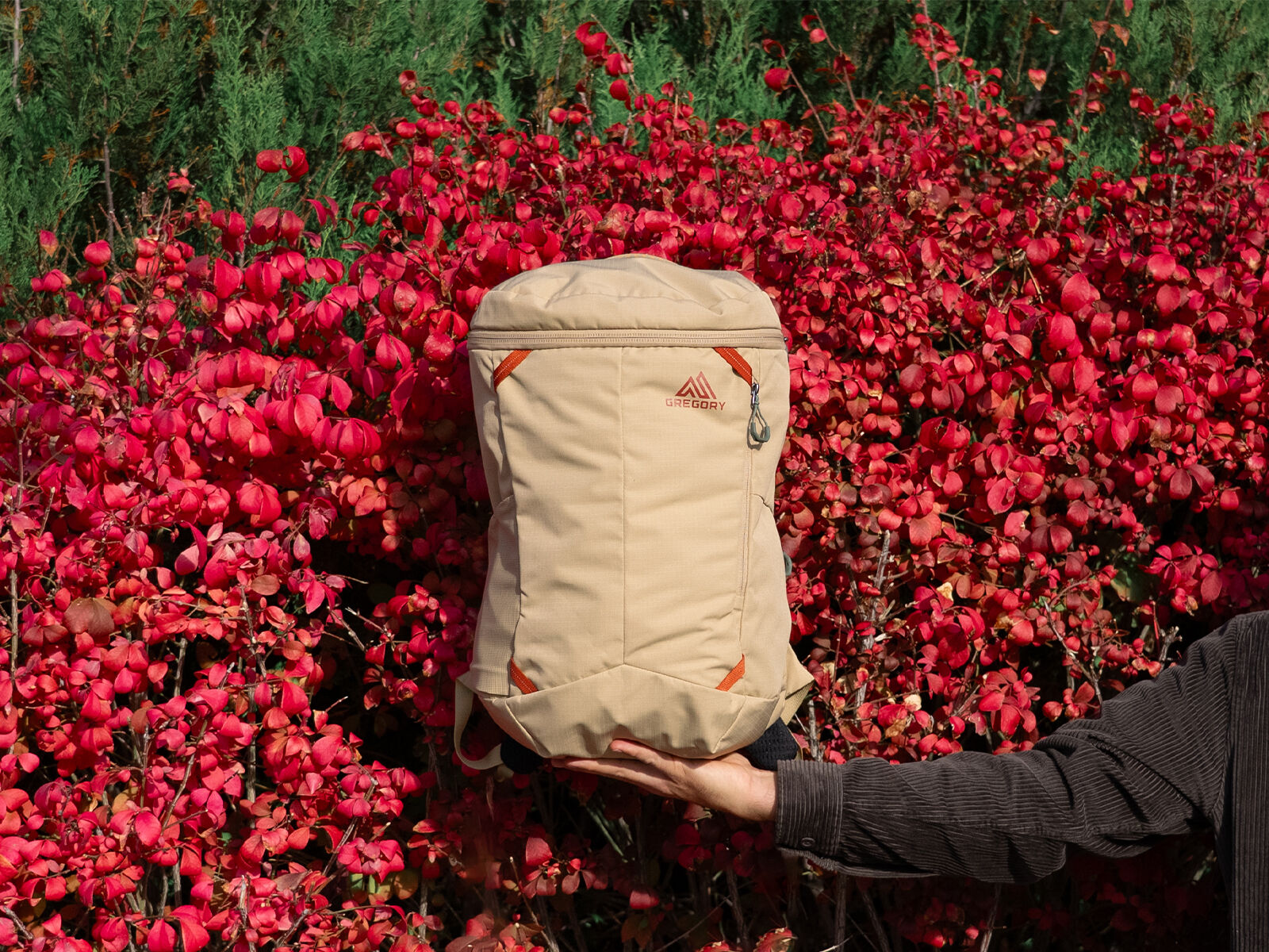 Guide cadeaux | Gregory Packs