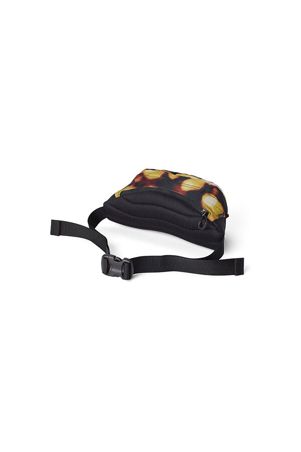 Nano Waistpack 3.5 Waistpack Summer Solstice | Gregory Czechia